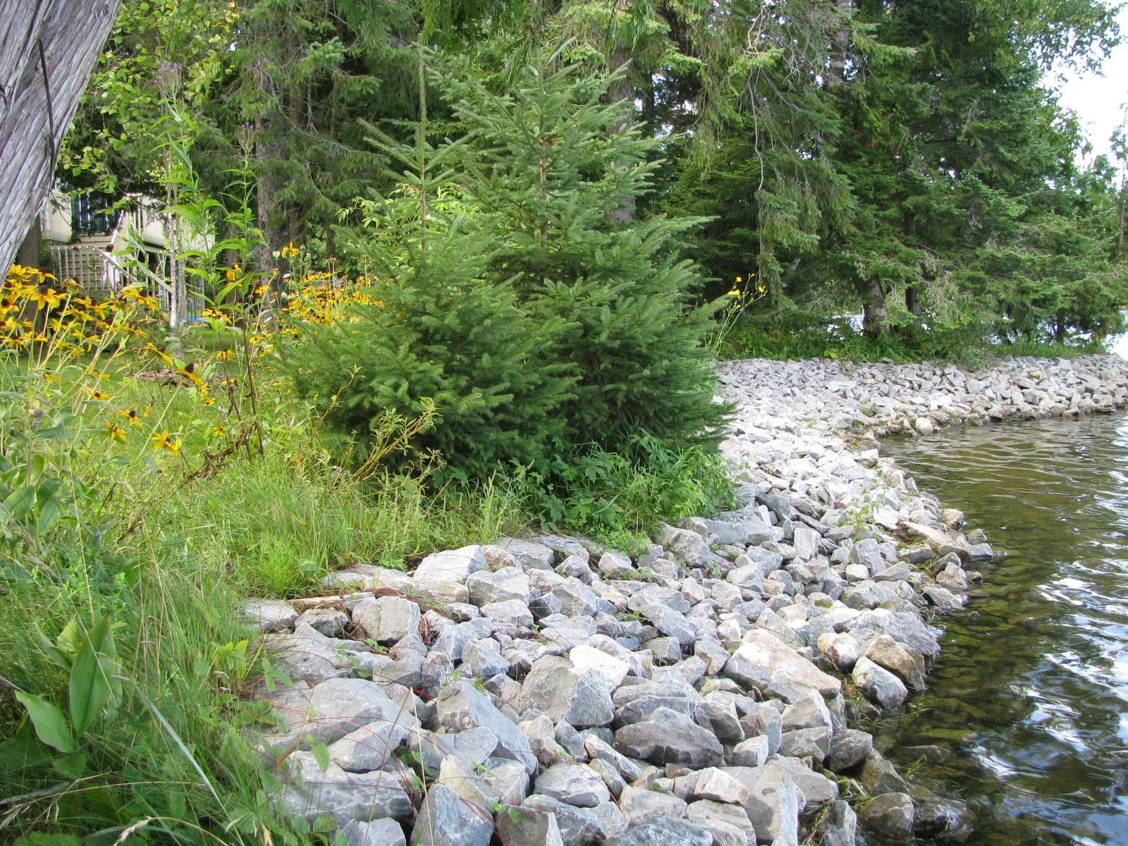 Shadow Lakes Association